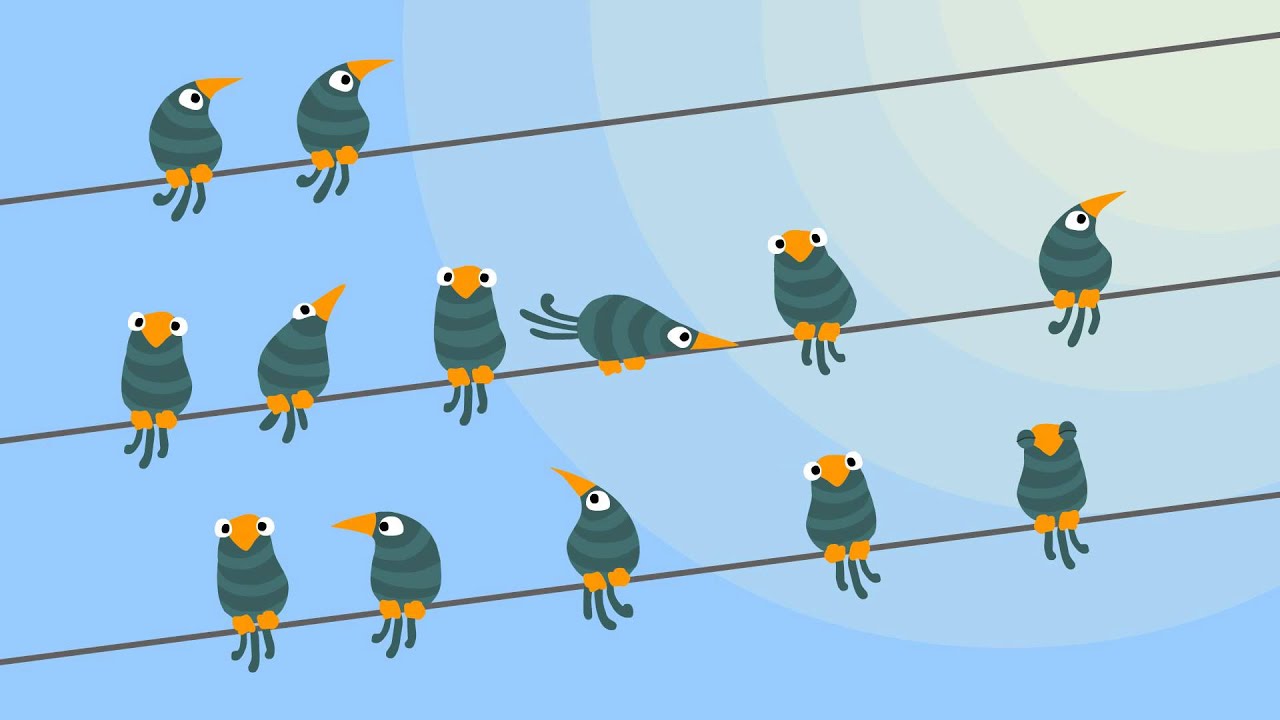 Shake your tail feathers - YouTube