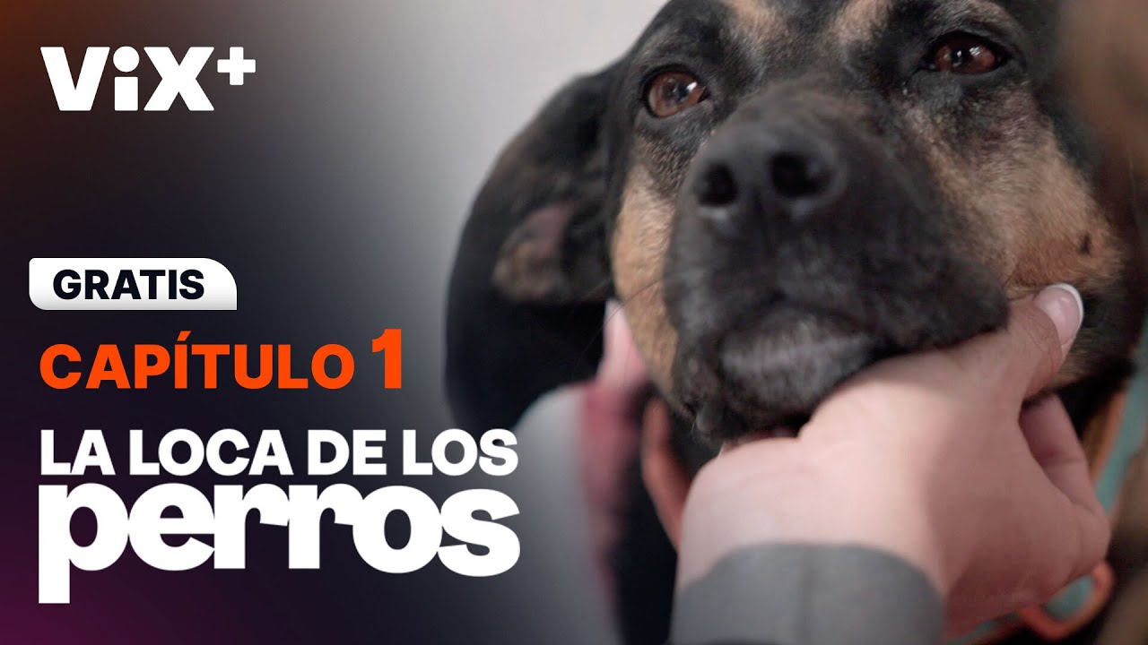 La Loca de los Perros - Capítulo 1 | GRATIS | ViX - YouTube