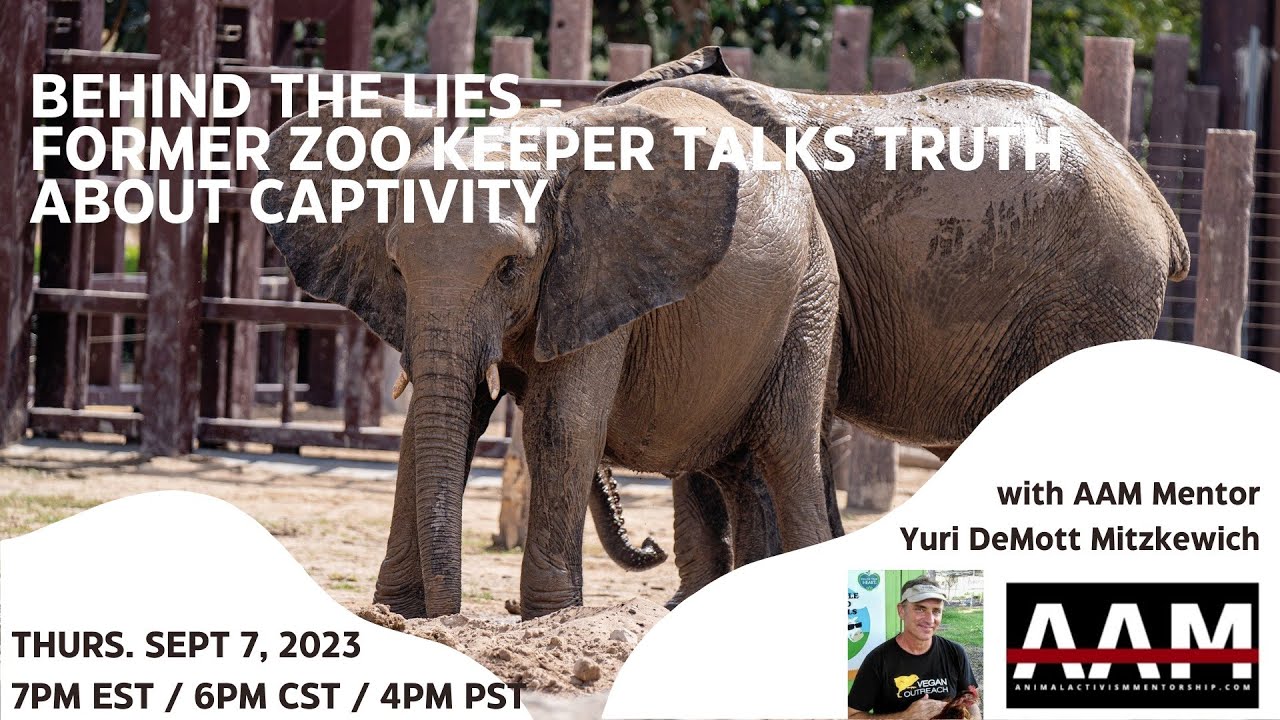 Behind the Lies: Former Zookeeper Talks Truth About Captivity - YouTube
