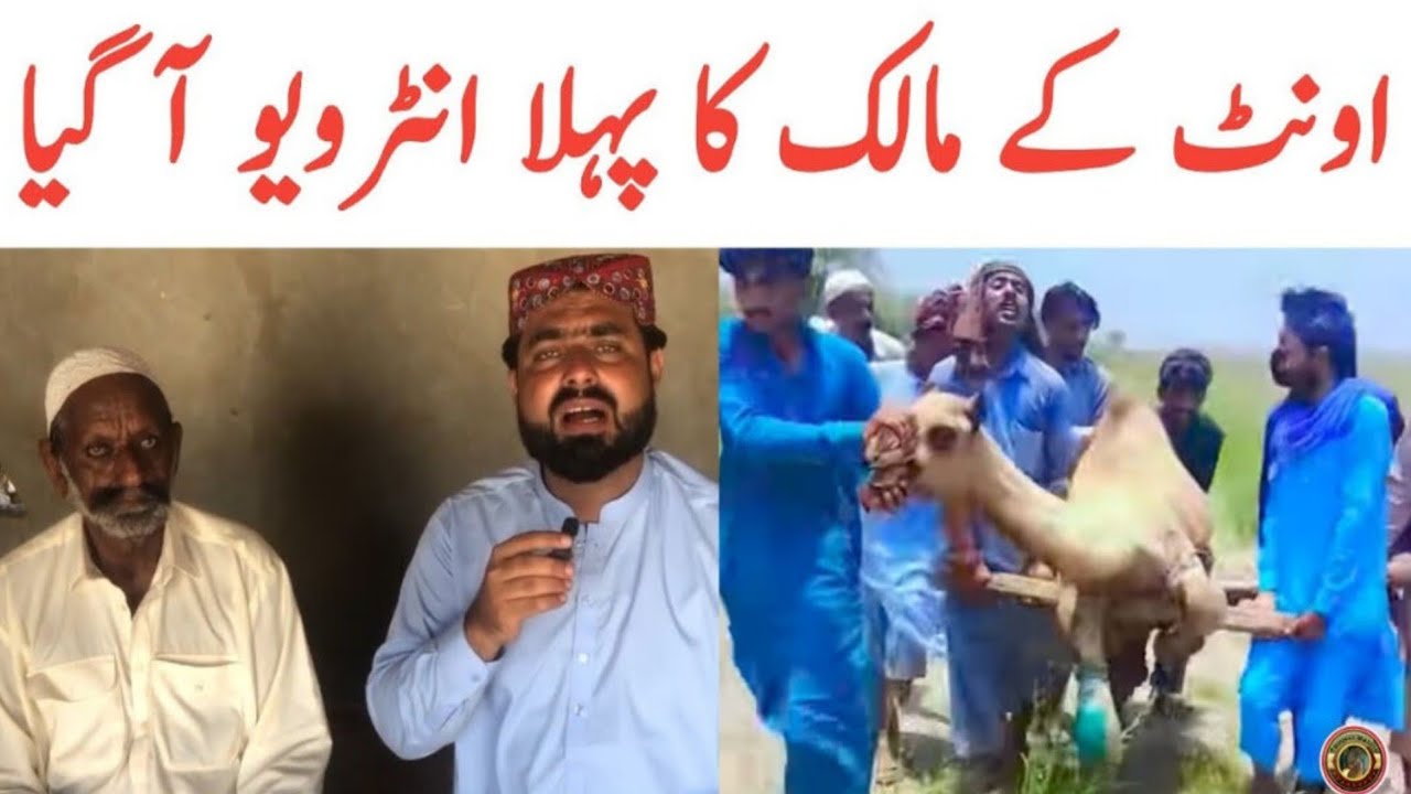 Camel Leg Cut | Camel Leg Cut Malik First Interview | Camel Leg Cut ...