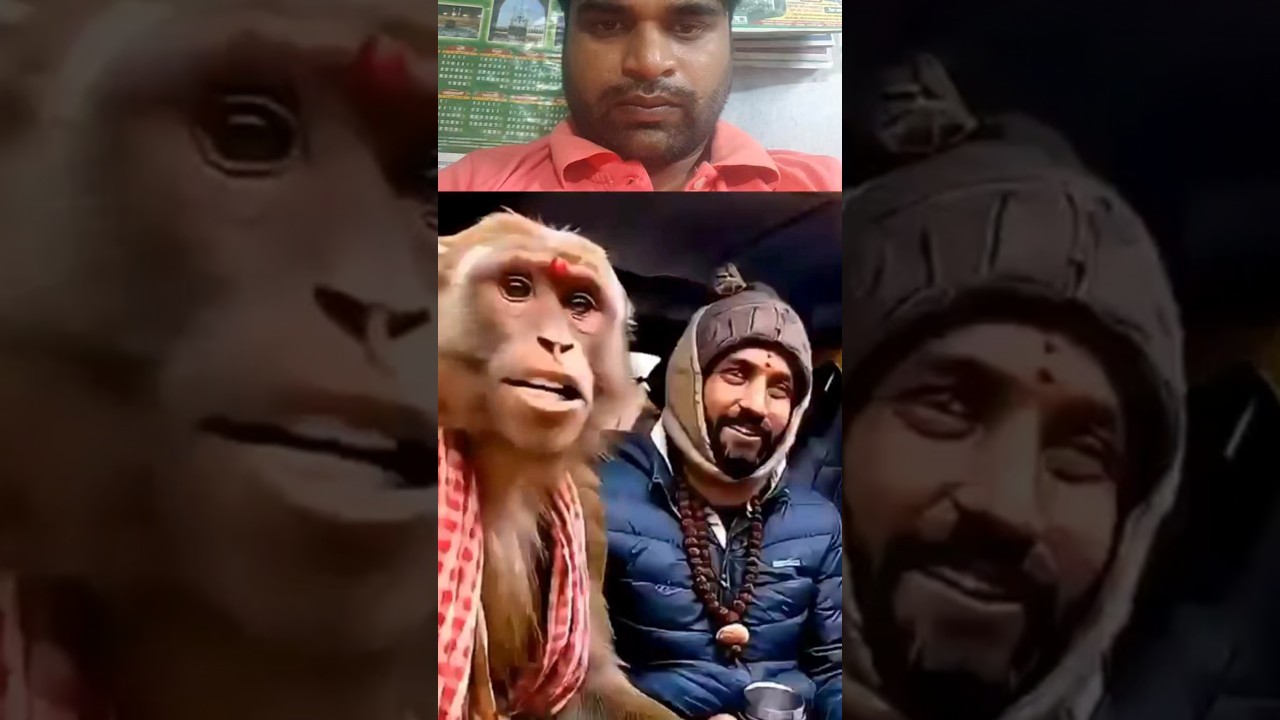 trending monkey video#youtubeshorts - YouTube