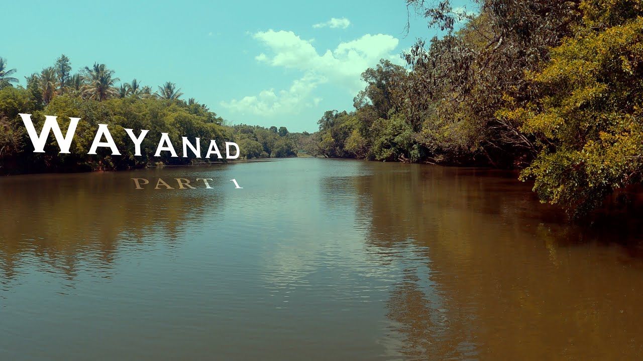 Wayanad | Wayanad Trip Plan | Wayanad by Road | Kerala Tourist Places ...