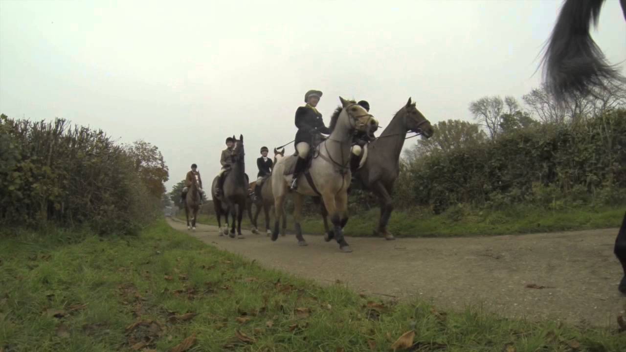 Coakham Bloodhounds, Frankham Farm - YouTube