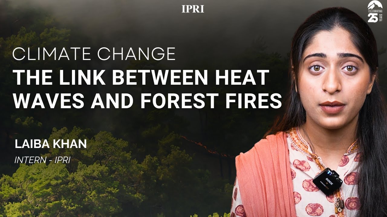 Climate Change: The Link Between Heat Waves and Forest Fires - YouTube