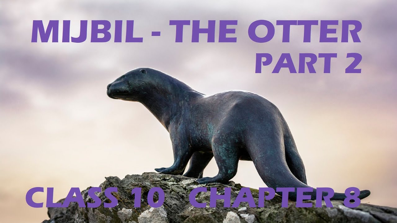 Mijbil the Otter Class 10 Chapter 8 First Flight PART 2 GSEB NCERT GCERT CBSE ICSE BRAMS SCHOOL ...