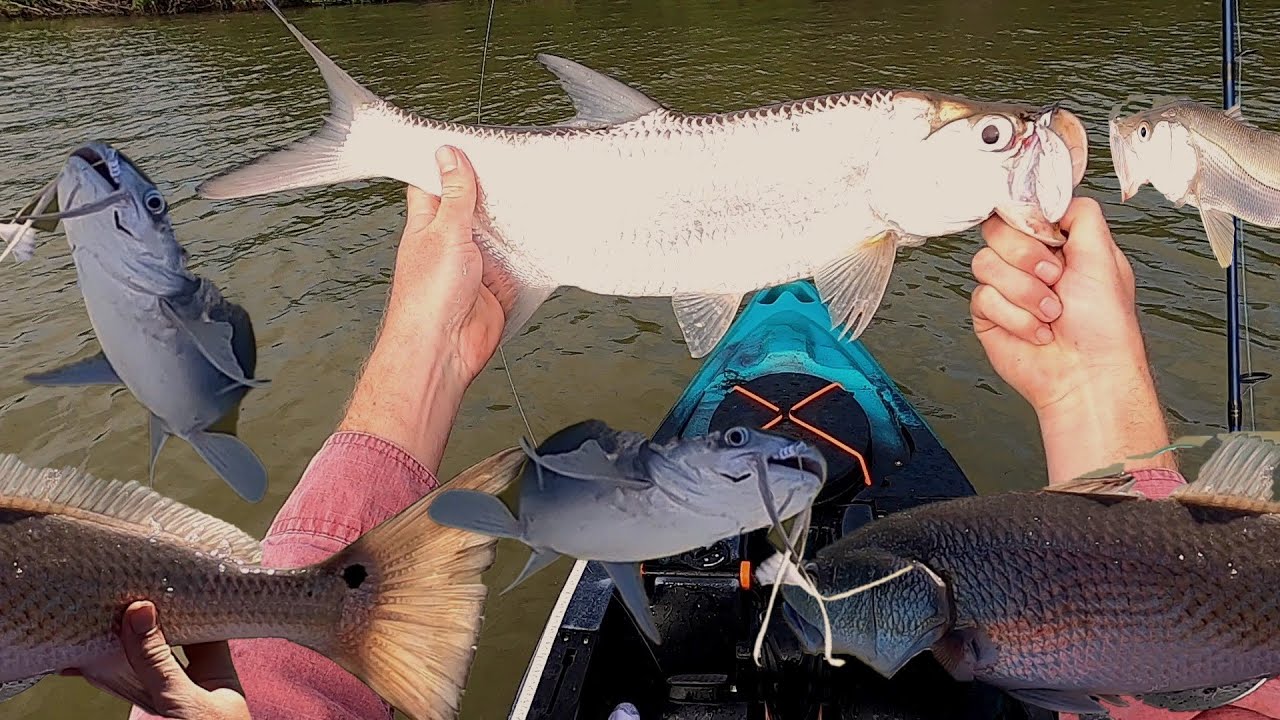 Fishing Flamingo Park (Everglades) - YouTube