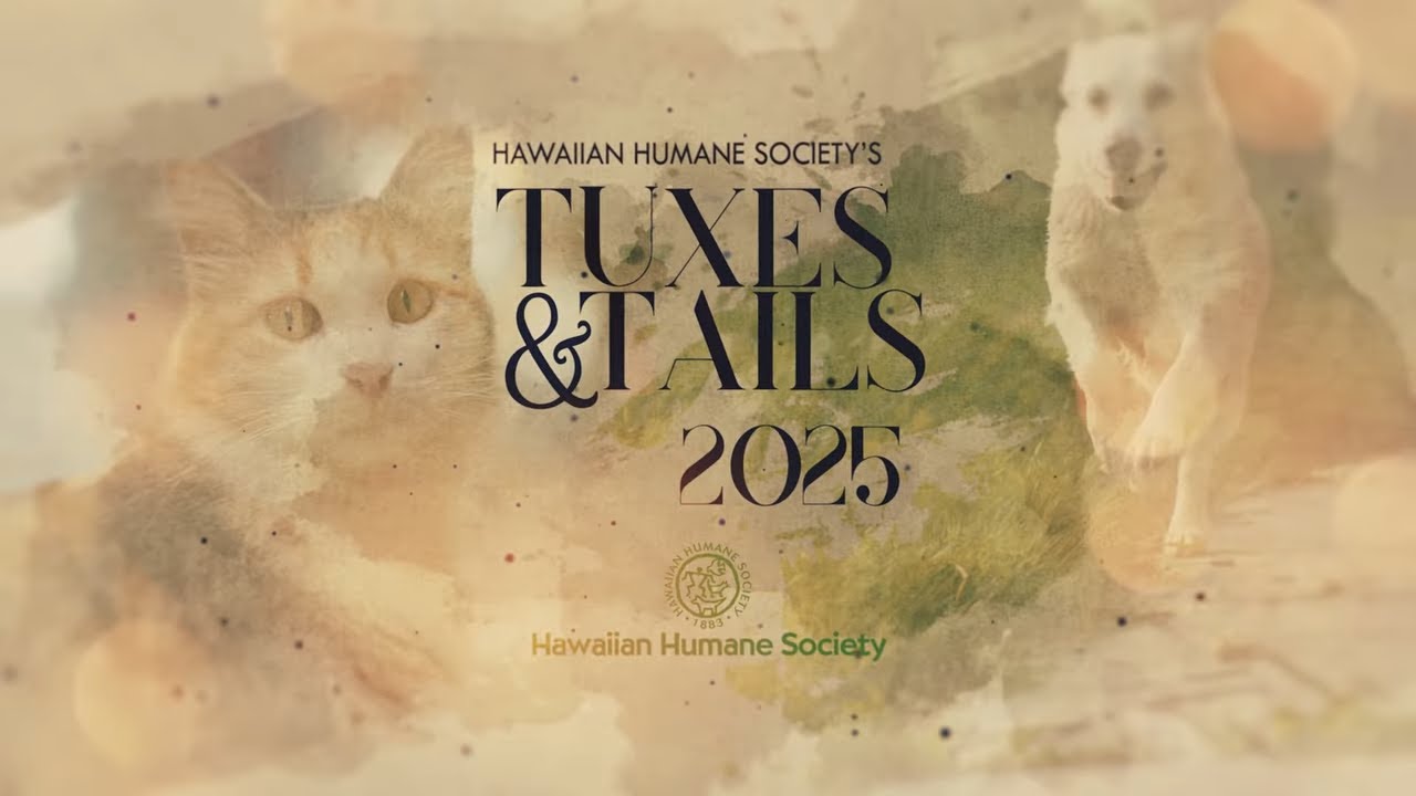 Hawaiian Humane Society | Tuxes & Tails 2025 | Pet Stories - YouTube
