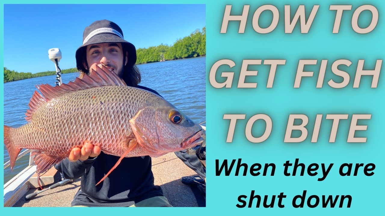 WHAT TO DO WHEN THE FISH AREN'T BITING. - YouTube