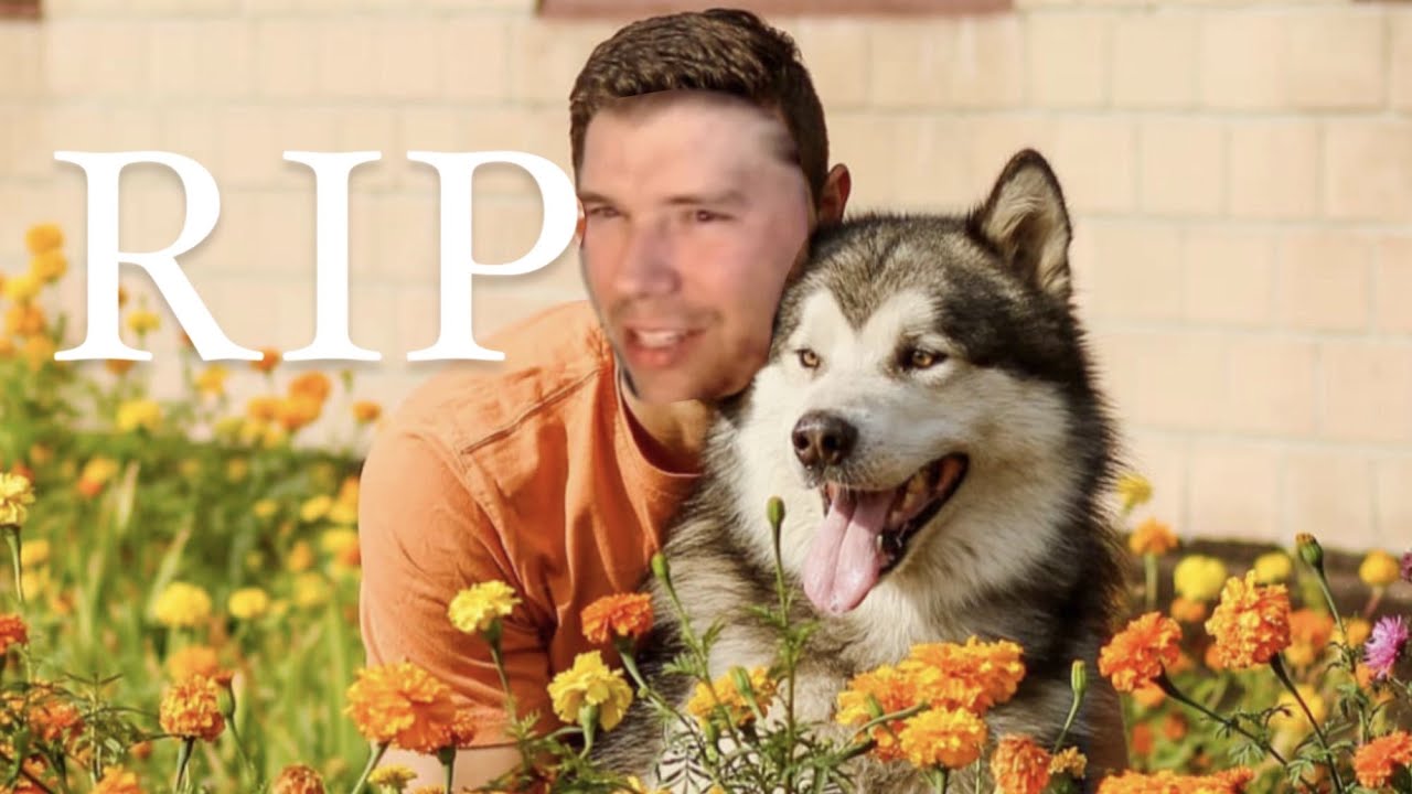 Kyle's dog Tragic death - YouTube