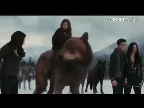 Yalili Yalilia Arabic Song Wolf Fight