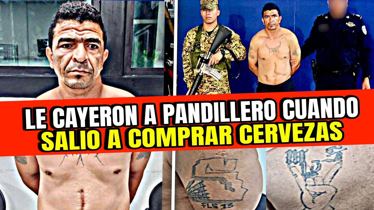 LE CAYERON CON TODO A PANDILLERO PINTOR CUANDO SALIO DE SU ESCONDITE ...