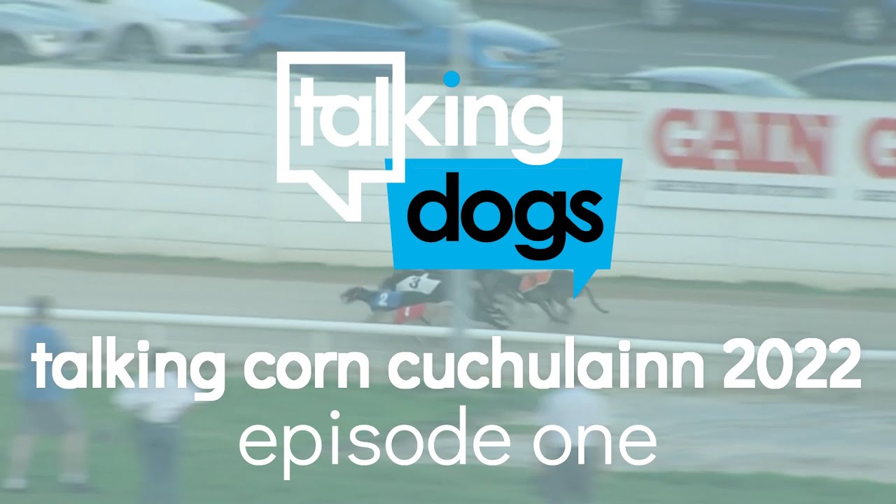 Talking Corn Cuchulainn 2022 Episode 1: Monday 27th June - YouTube