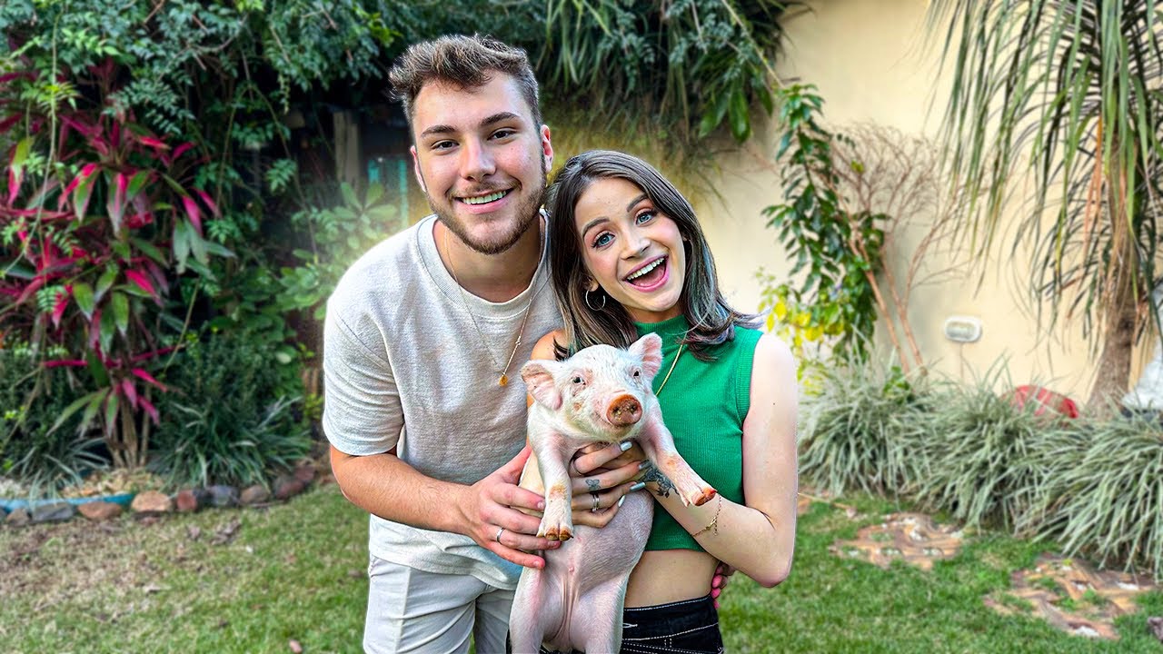 Meu Crush Me Deu Um Porco De Presente 🐷 Youtube