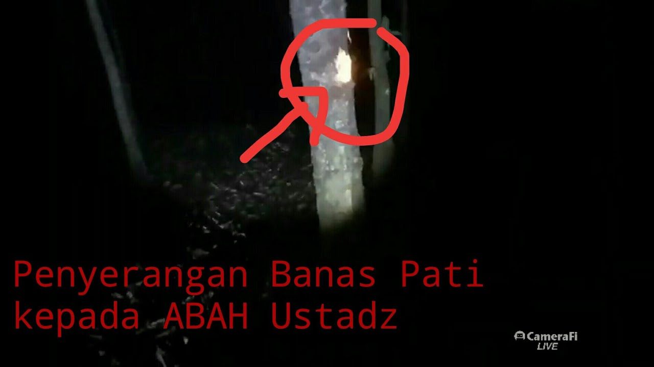 Mitos Buta Ijo Penunggu Hutan Jati - YouTube