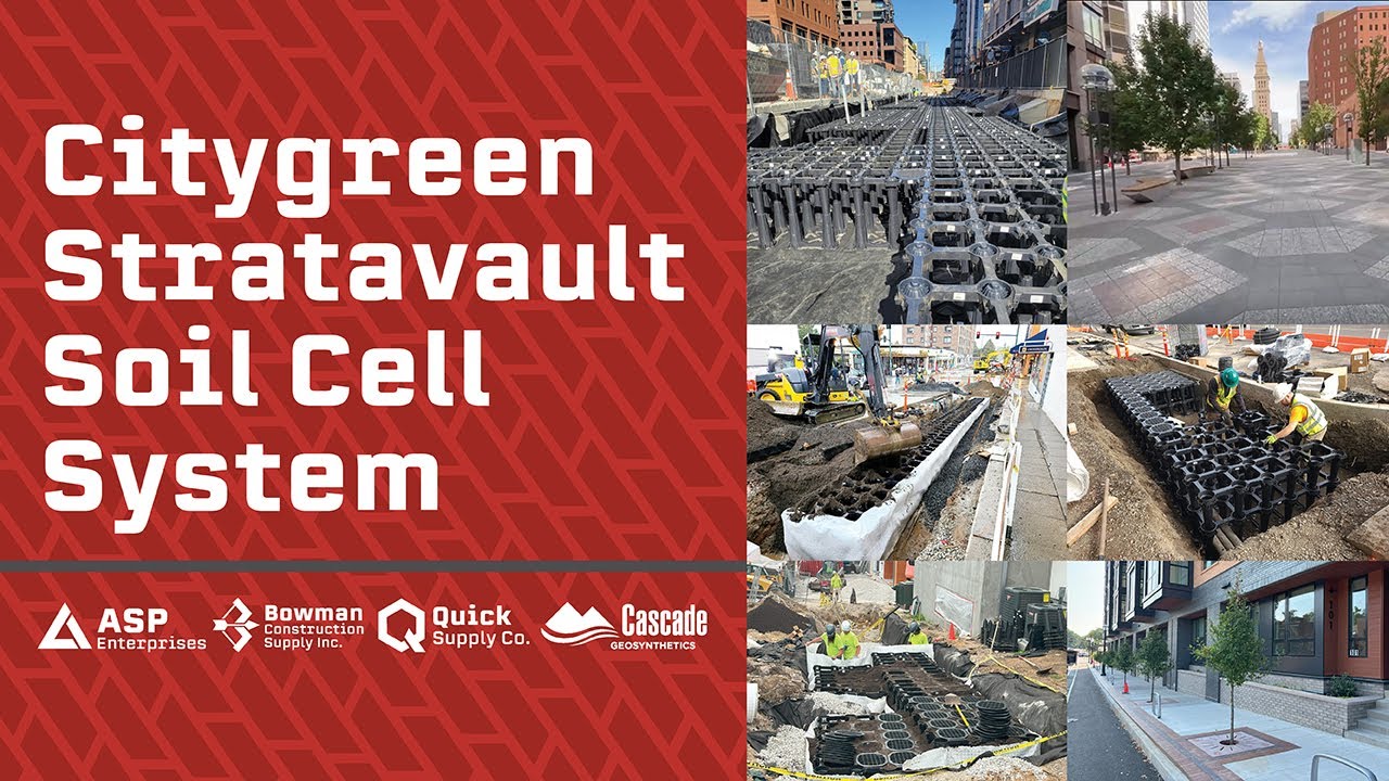 Soil Cell Systems for Urban Tree Development | Many Benefits of Healthy ...