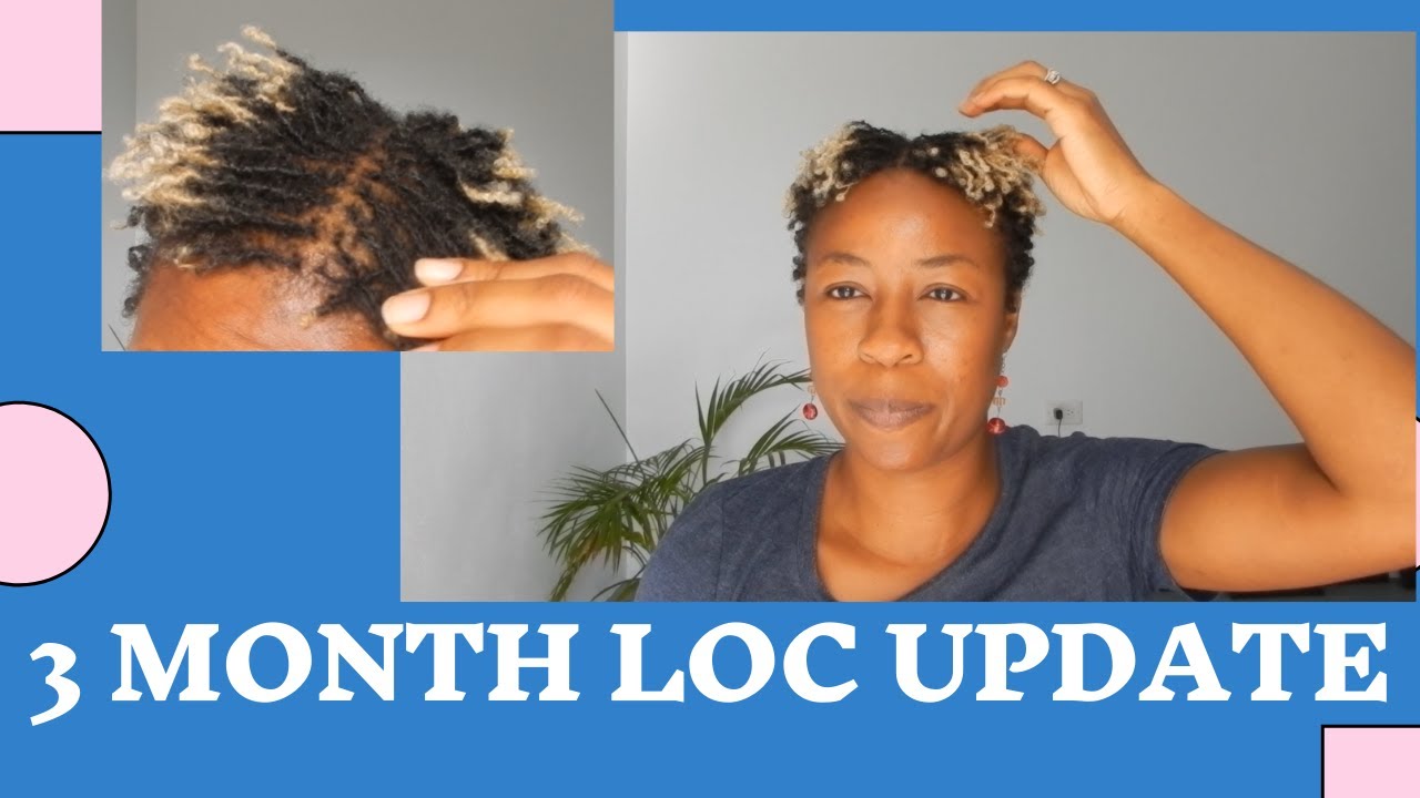 3 Month Loc Update | DIY Microlocs | Shaved Sides - YouTube