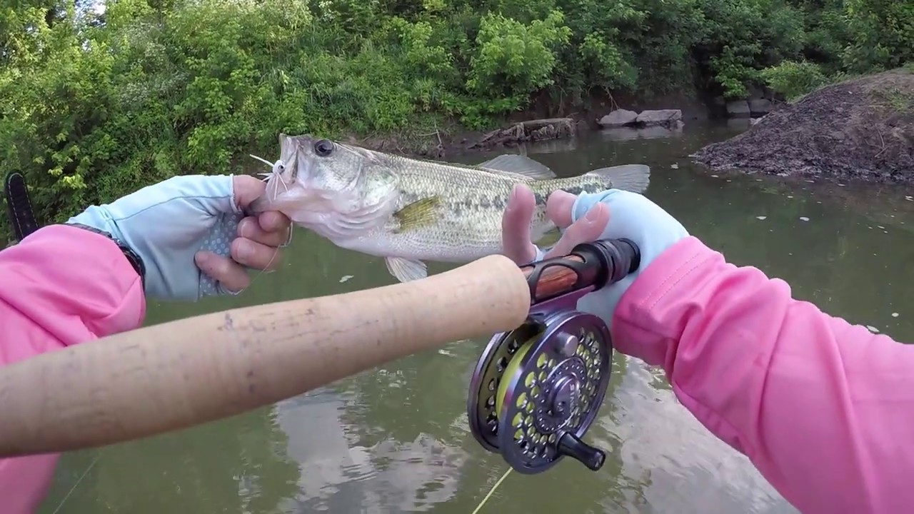 2019 May 25 - Fly Fishing with Poppers in the Harpeth River - YouTube