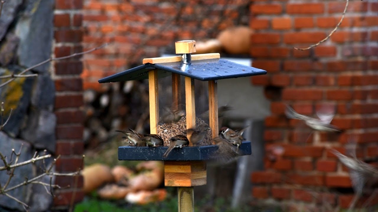 Bird Feeder Post Mounted | Builds # 3 - YouTube