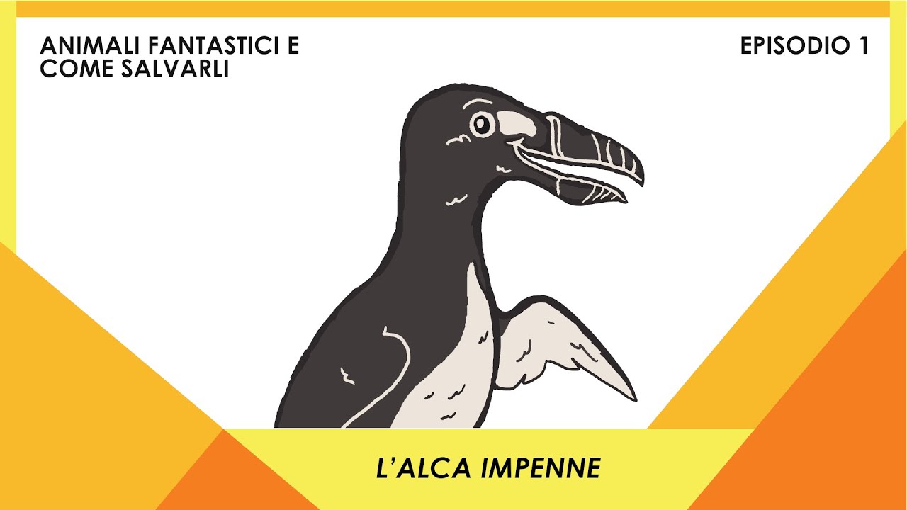 Animali fantastici e come salvarli - Episodio 1. L'Alca impenne - YouTube