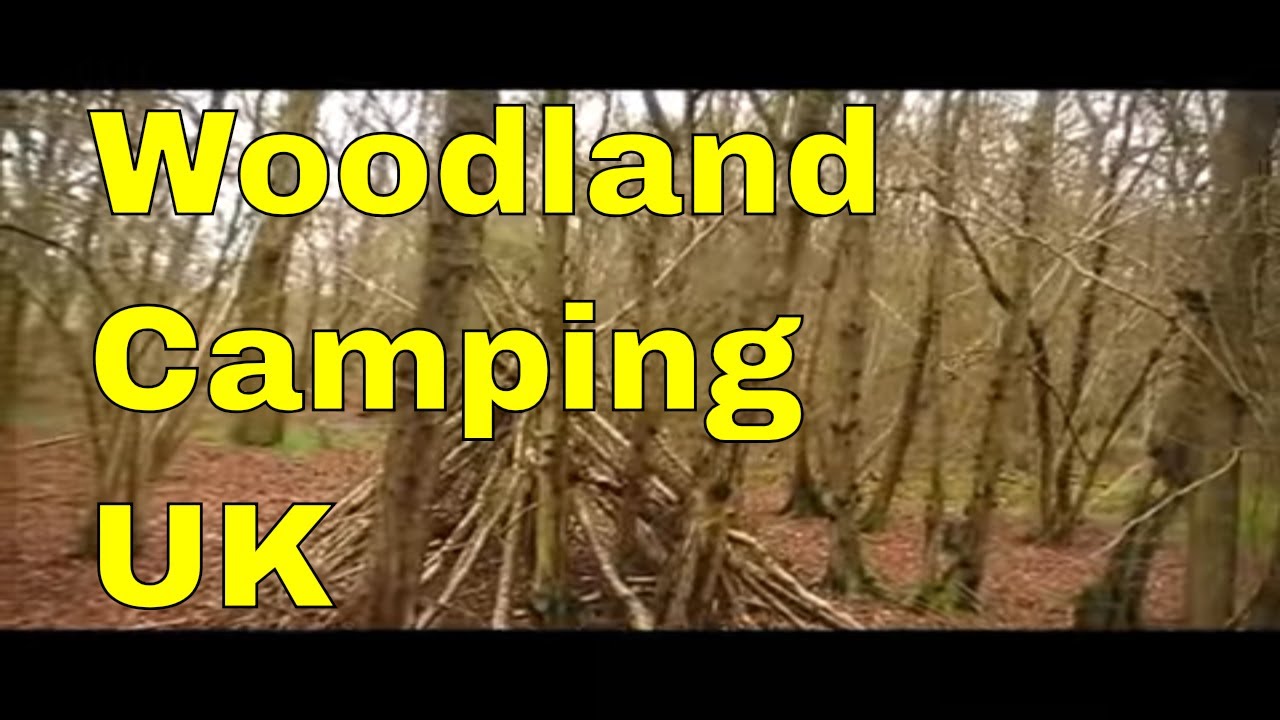 British woodland wild camp - bushcraft & survival uk - YouTube
