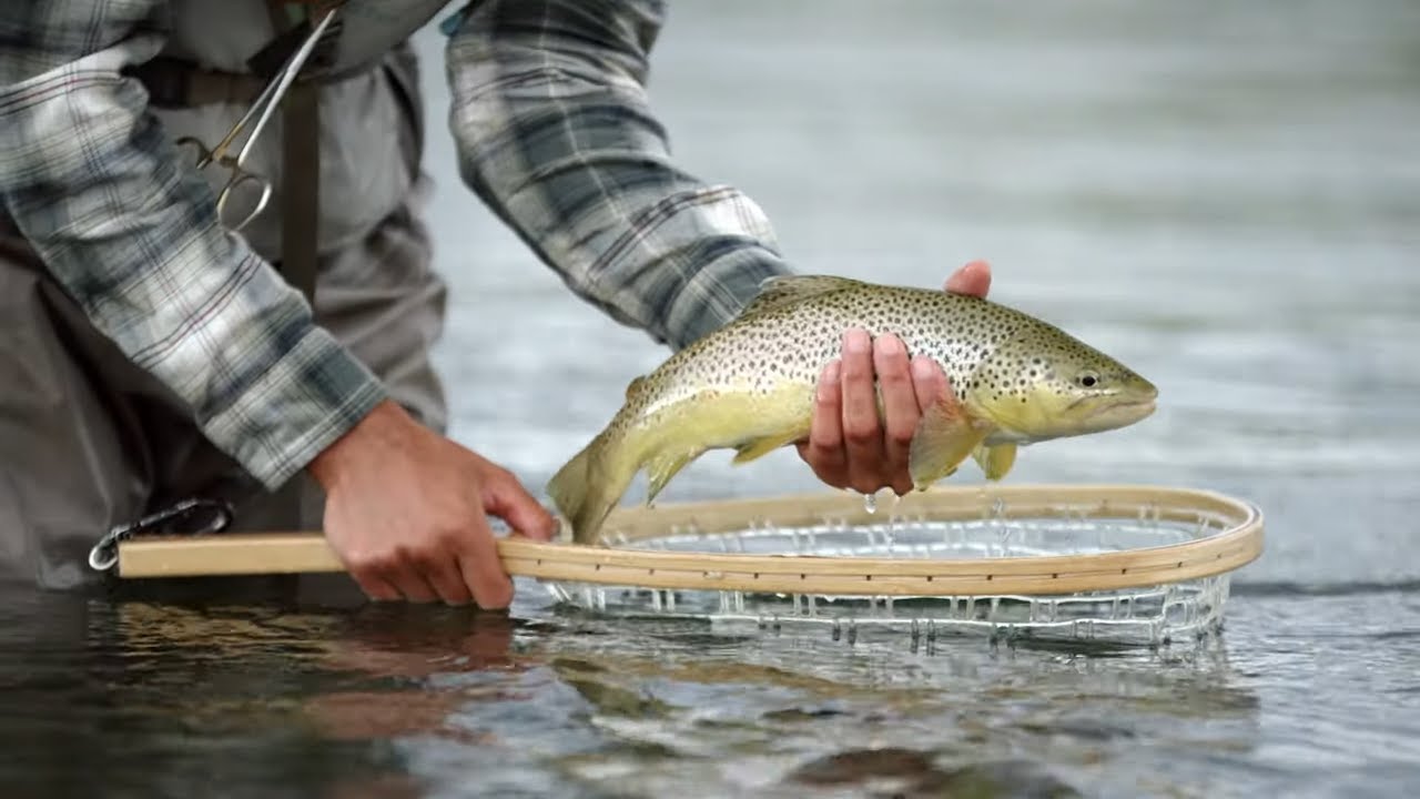 Basic River Fishing Tactics for Trout | Simon Gawesworth - YouTube