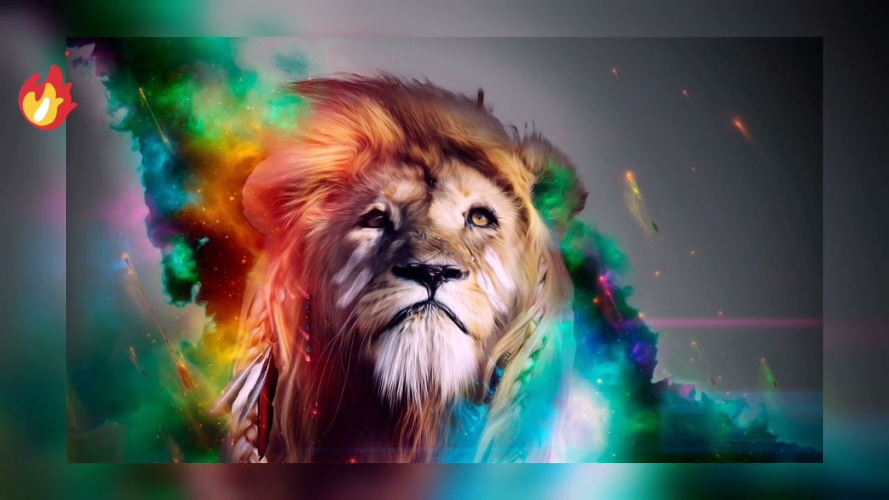 Lion vibe_Lacorité😉 - YouTube