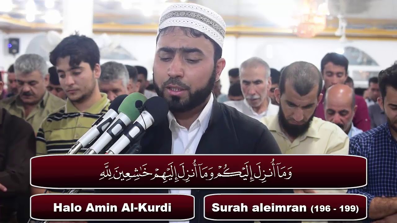al quran karim surah ale imran al qari halo amin al kurdi maqam farsi ...