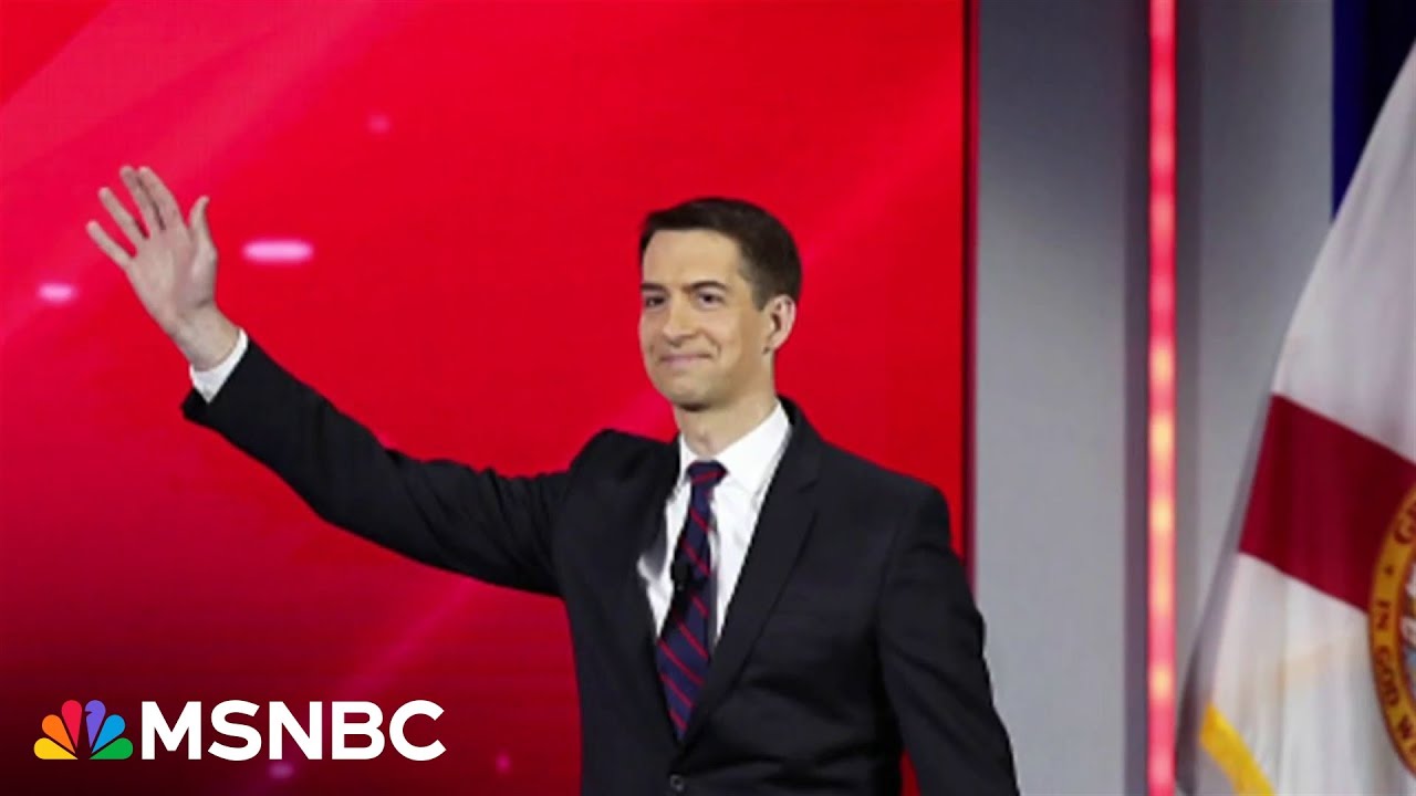 GOP senator slams protestors, urges supporters to take matters in their ...