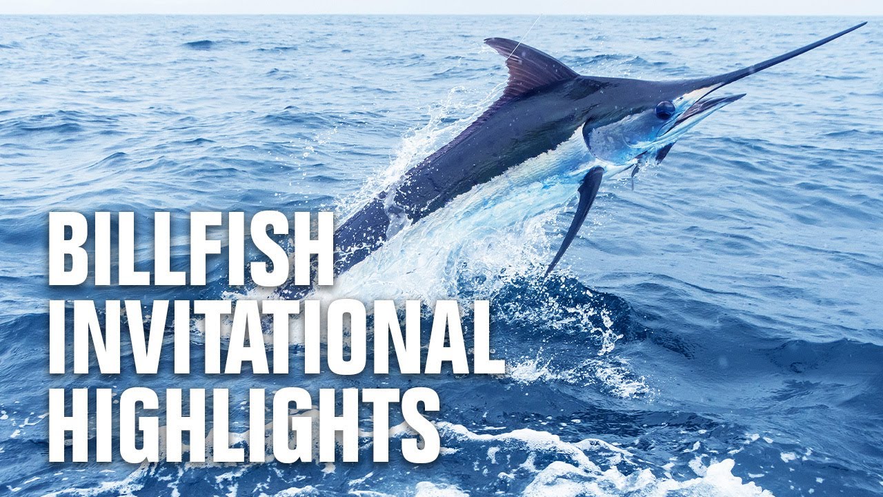 BEST MOMENTS at the Billfish Invitational feat. @Bass2Billfish - YouTube