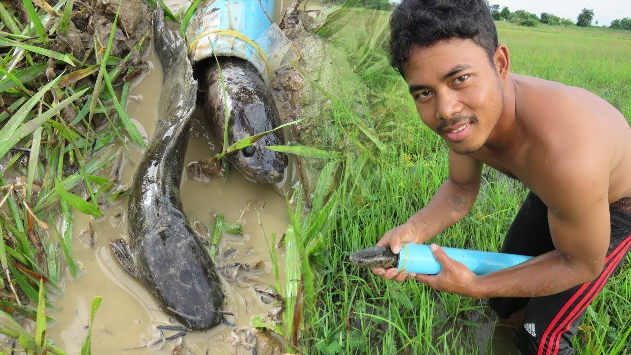 Awesome Ideas to catch fish with Simple Tricks - Simple Life Hacks ...