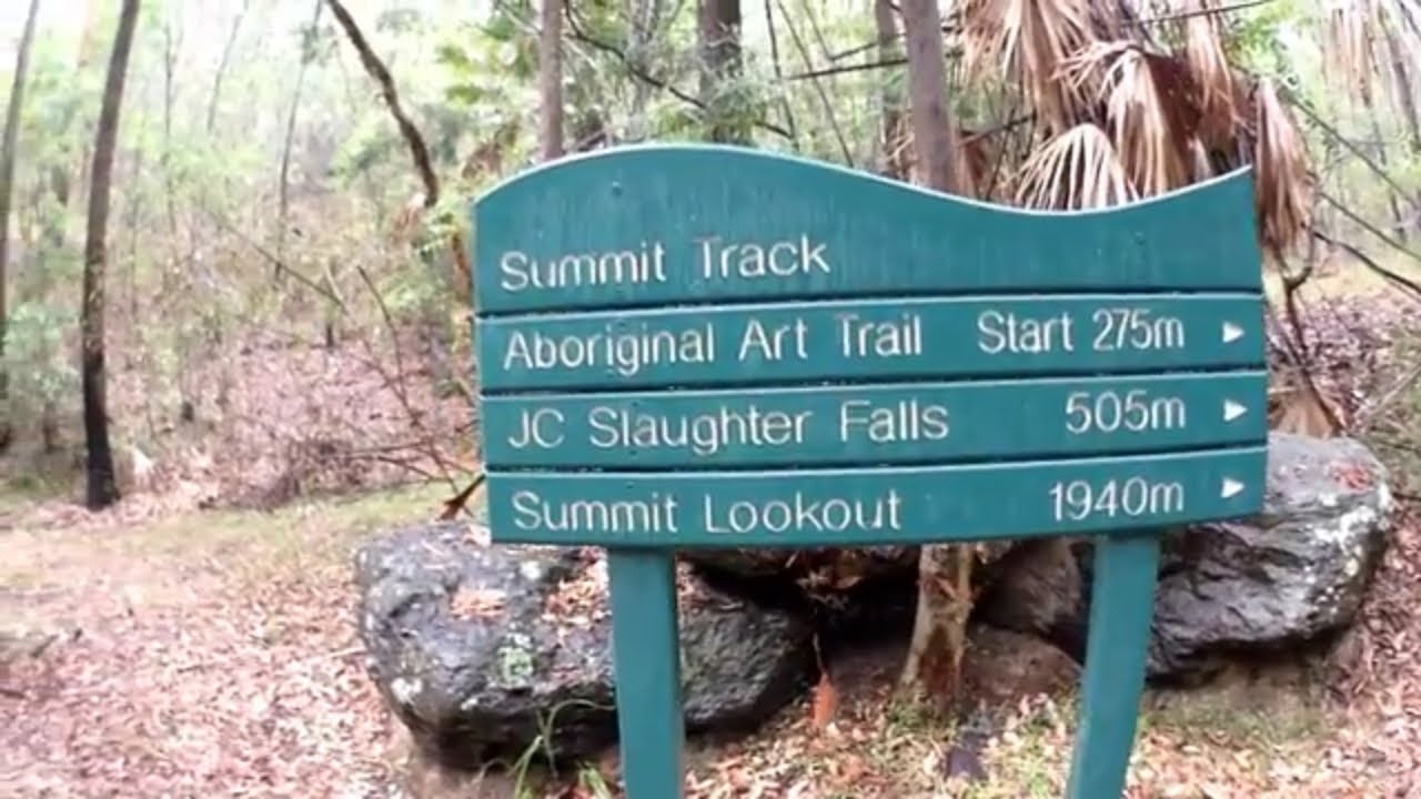 Exploration of The JC Slaughter Falls and MT Cootha walk - YouTube