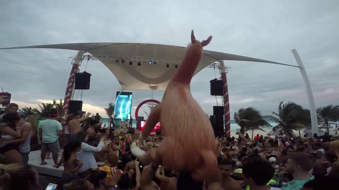 Oasis Dance U 2017 at Grand Oasis Cancun, Oasis Hotels & Resorts - YouTube