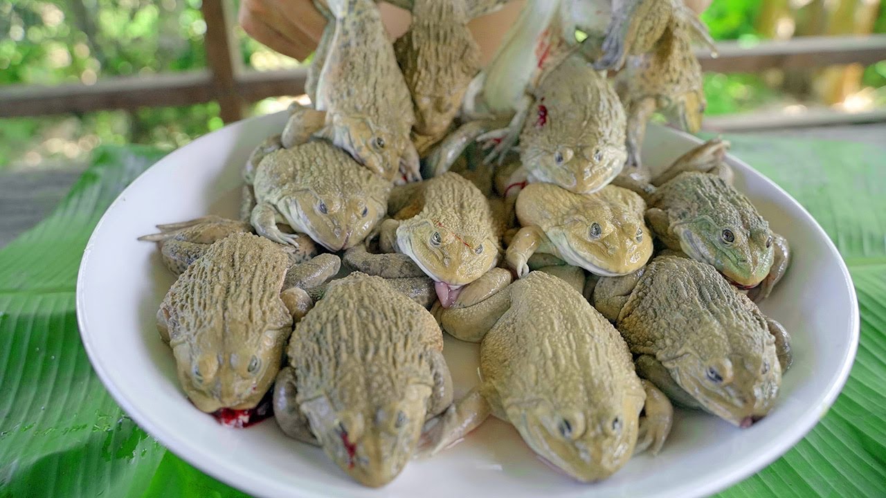 Spicy Frog Recipe prepare by Brother - YouTube