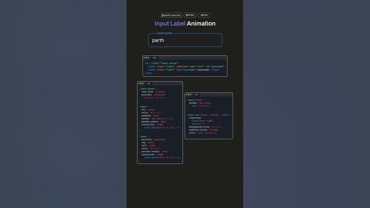 Input Label Animation With Html5 Css3 Html Css Tailwindcss Coding