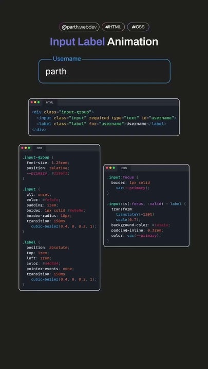 Input Label Animation with HTML5 CSS3 #html #css #tailwindcss #coding #programming - YouTube