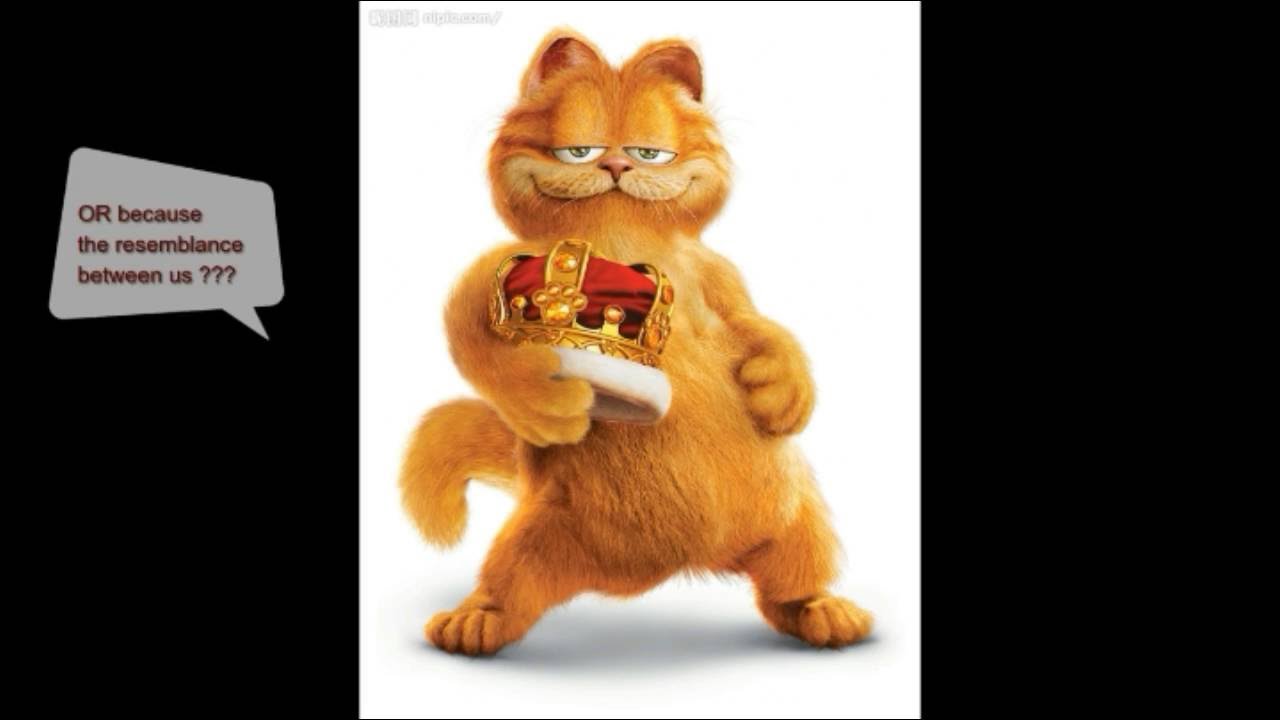 Jiafei Introduction - YouTube