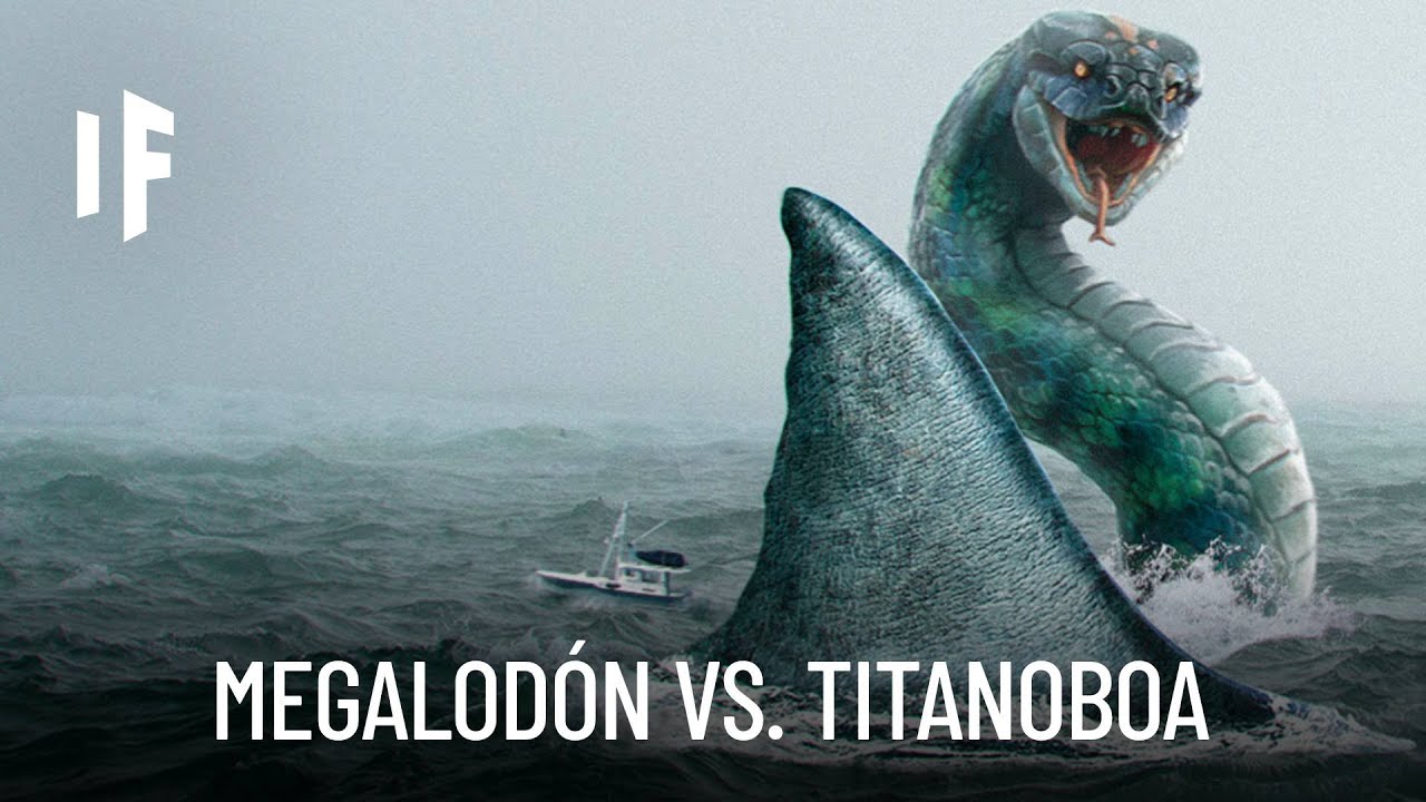 ¿Qué pasaría si un megalodón se enfrentara a una titanoboa? - YouTube