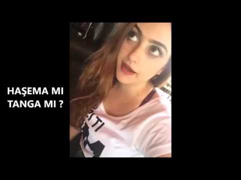 HAŞEMA MI TANGA MI? | SCORP