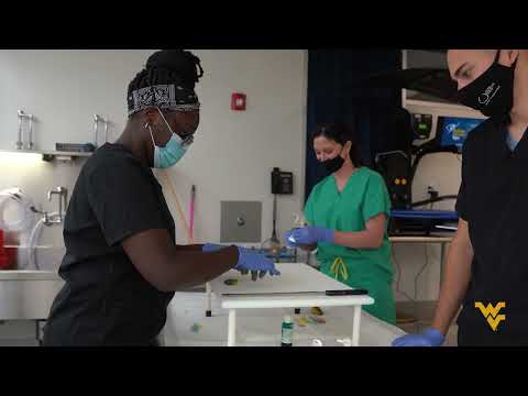 Explore the WVU School of Medicine