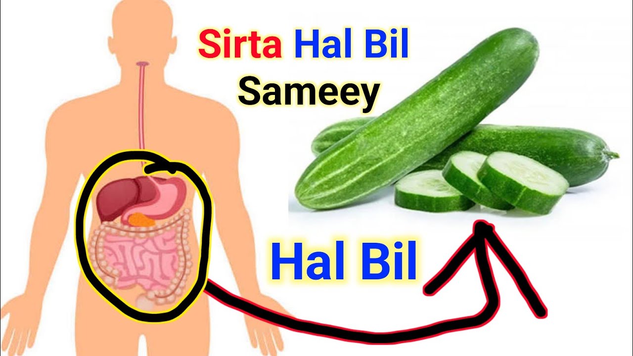 HAL BIL tijaabi 2-badaan subax kasta hadii xanuunka #Gaaska ku dhibay ...