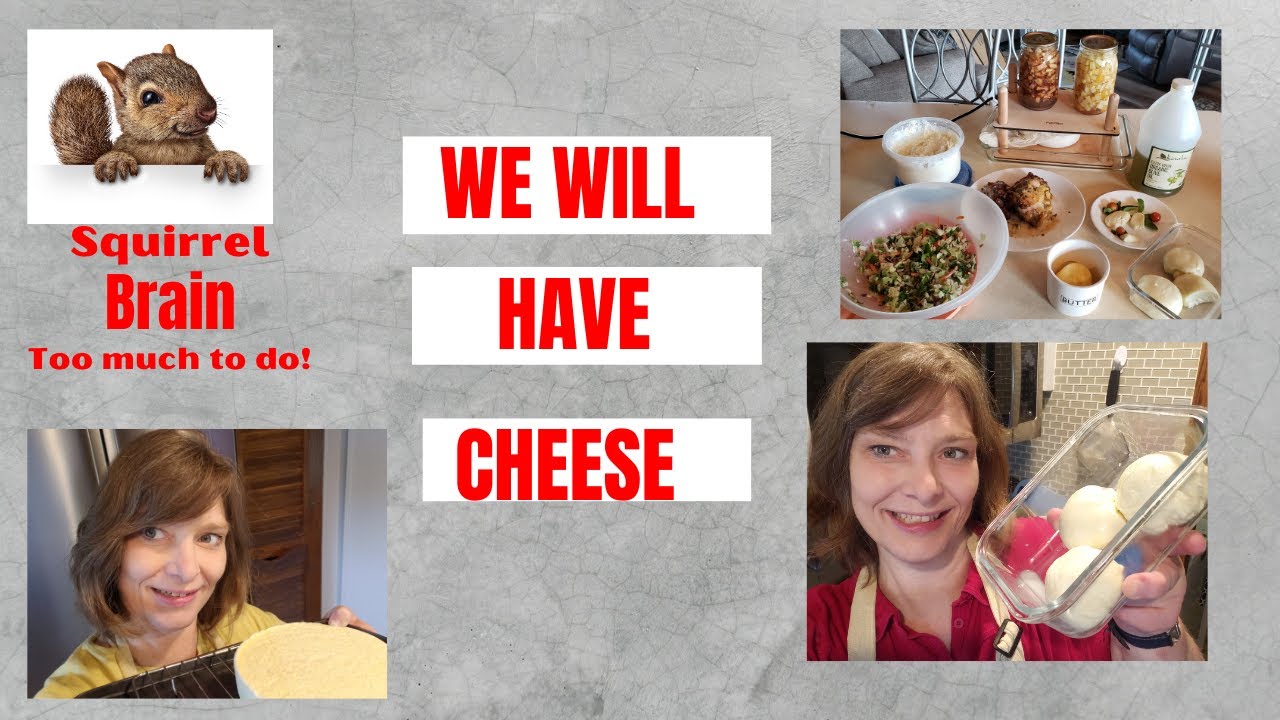 Squirrel Brain! Too Much to do- But We will Have Cheese!! - YouTube