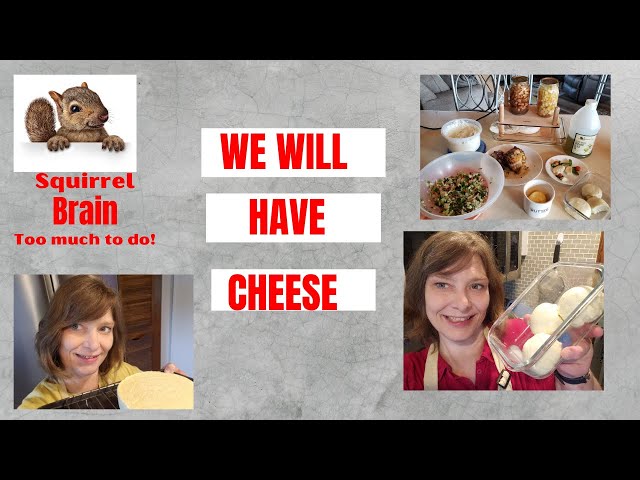 Cooked Squirrel Brains