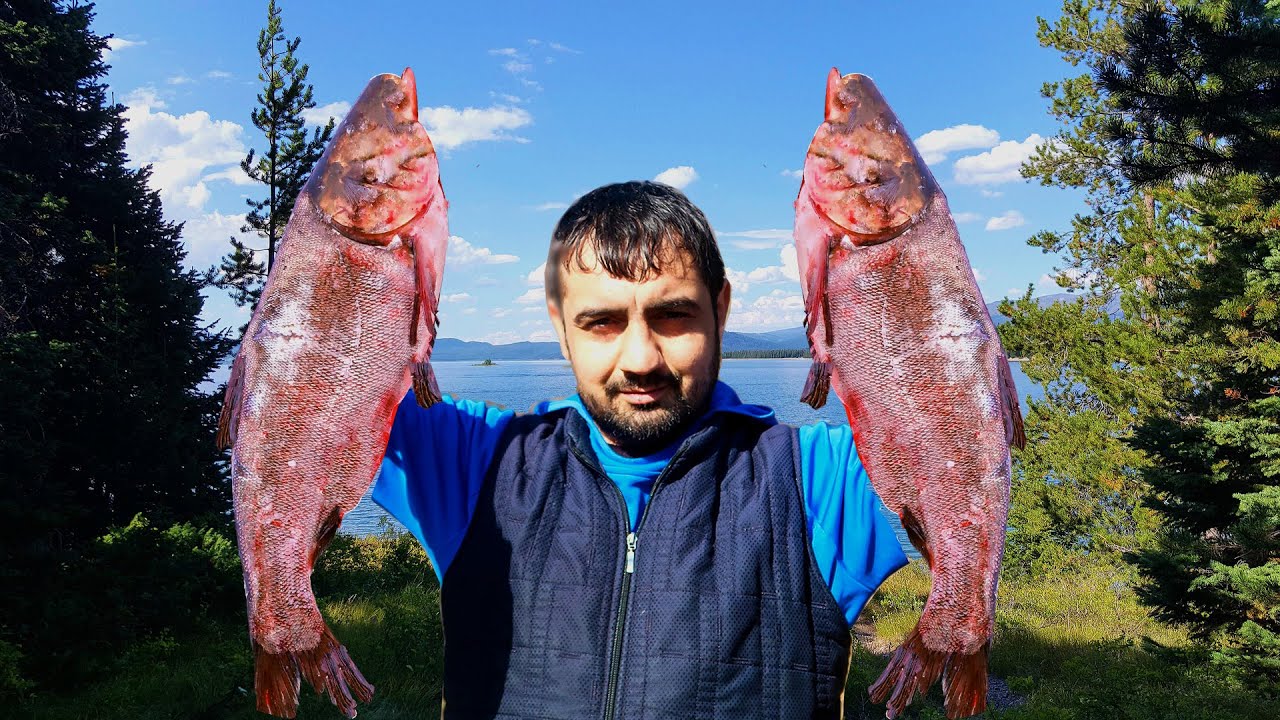 🐠 Outdoor Fried Trout Fish Recipe| Relaxing Wilderness Cooking in ...