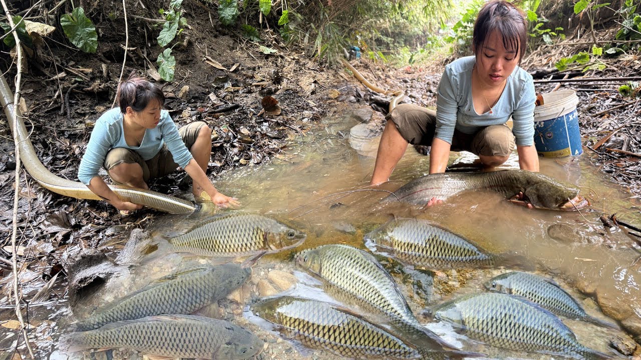 Full video of Ana's 6 Hour of fishing in the wild lake. Caught many big ...