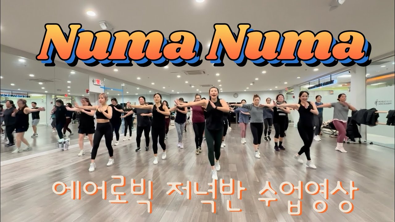 Numa Numa | 에어로빅 | 다이어트 댄스 | 이지댄스 | 저녁반 수업영상 | Dance Workout | #탄하댄스핏 ...