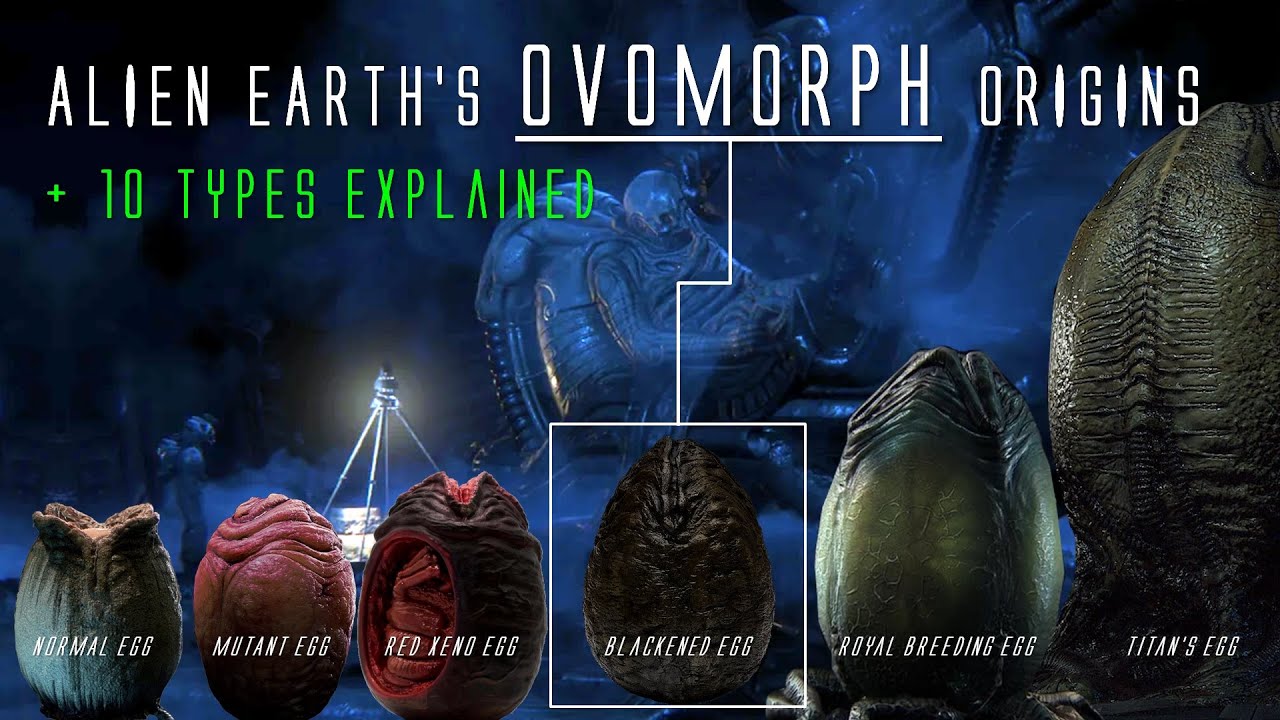 The 10 Types of Ovomorphs & Alien Earth's Black Eggs Origins - YouTube