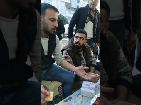 firinci sedo