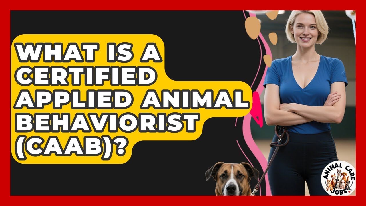 What Is A Certified Applied Animal Behaviorist (CAAB)? - Animal Care ...