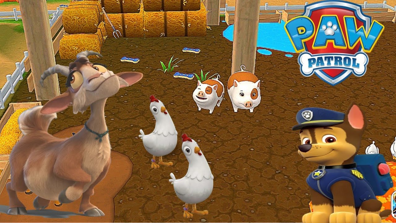 PAW Patrol Farm Adventures & Rescues! 🤠 w/ Zuma & Rubble | Compilation ...