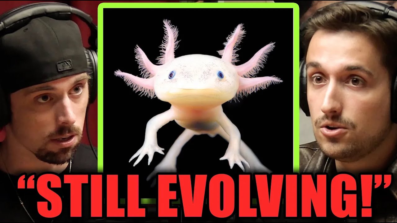 The Strange Creature Still Evolving! | Luke Caverns - YouTube